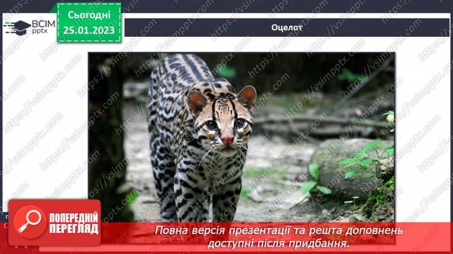 Урок №62 для 2 класу з курсу "Я досліджую світ" за Т. В. Воронцовою ...